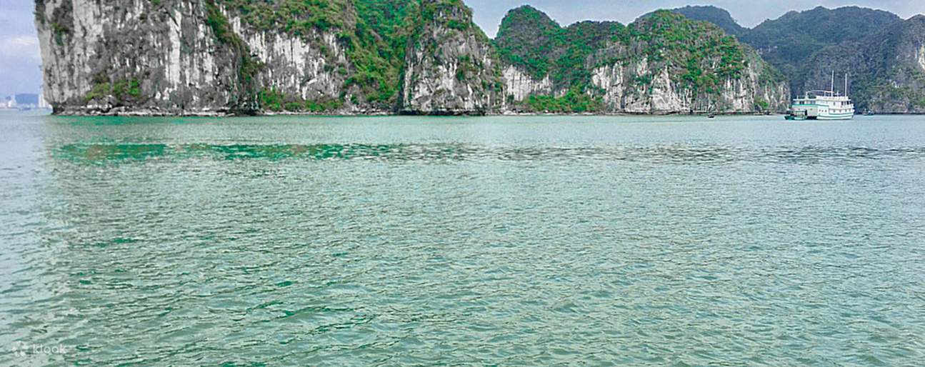 Excursion d'une journée à Halong avec un guide parlant japonais ...